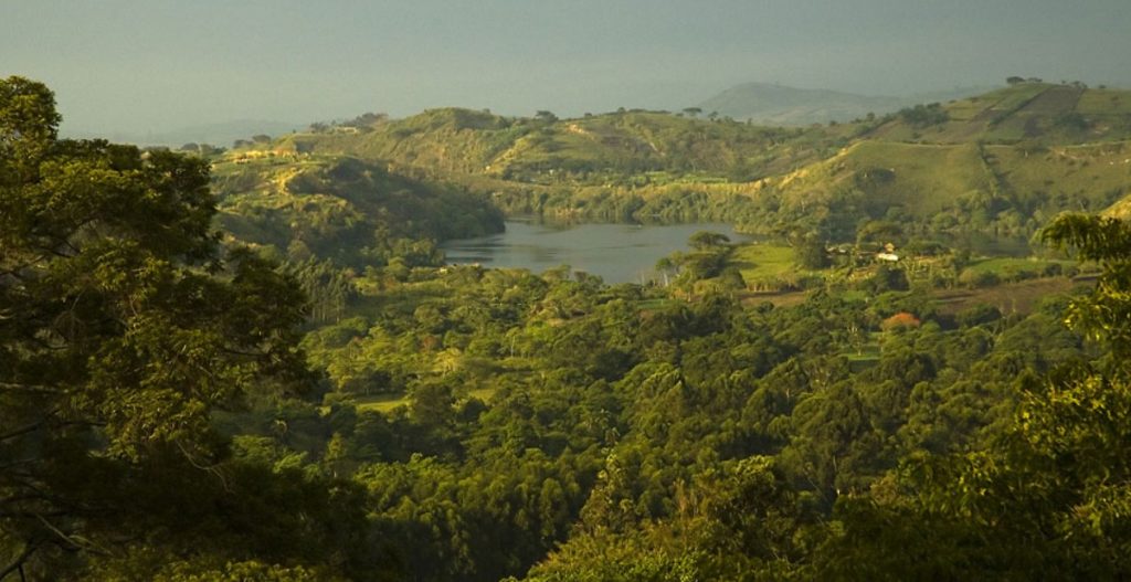 Size of Kibale forest national park-What is found in Kibale forest