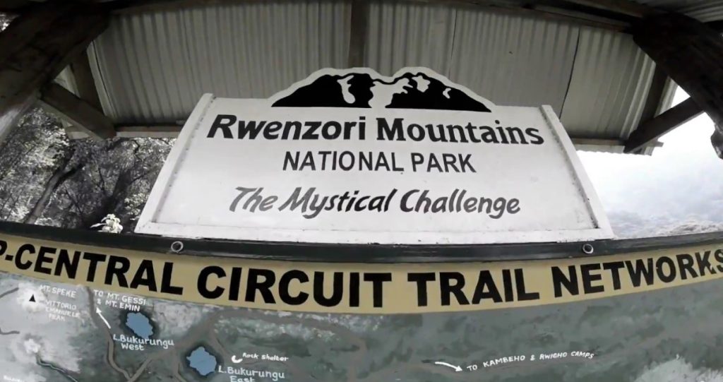 Entrance fees to Rwenzori Mountains National Park- Bwindi Gorilla Park