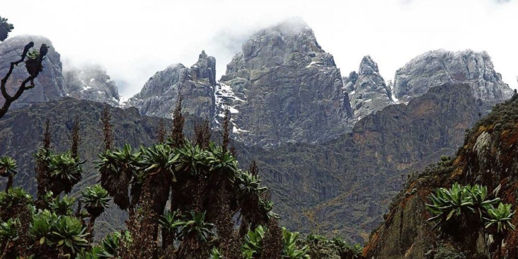 Which part of Africa is Mount Elgon- Bwindi Gorilla Park