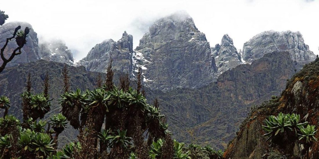 Which part of Africa is Mount Elgon- Bwindi Gorilla Park