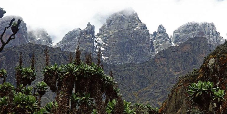 Which part of Africa is Mount Elgon- Bwindi Gorilla Park